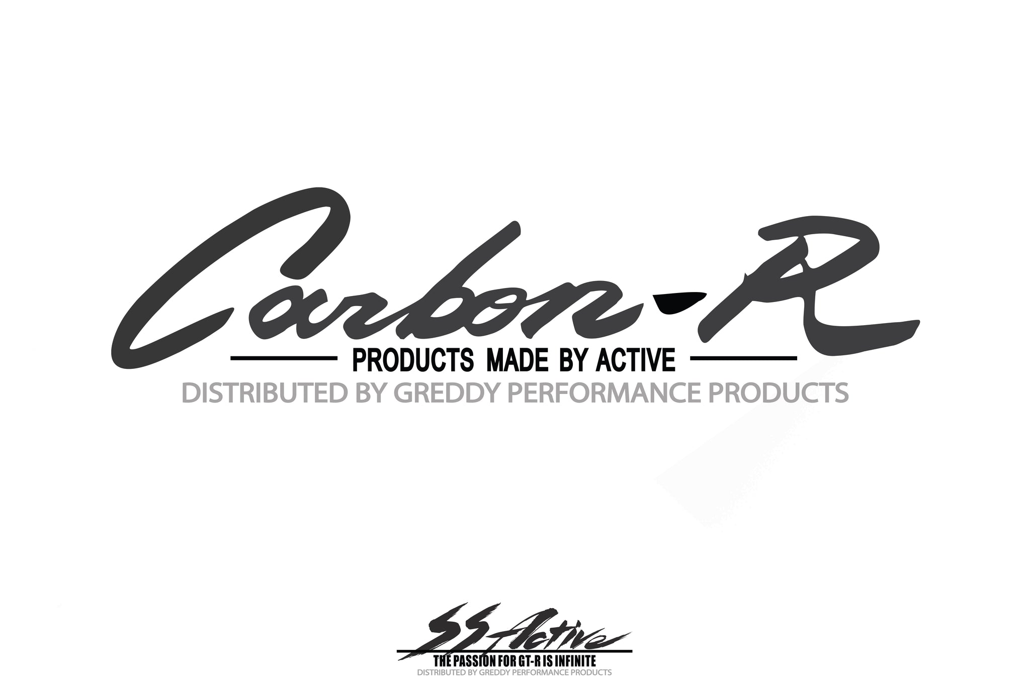 Garage Active Dry Carbon Aero (R33) - special order